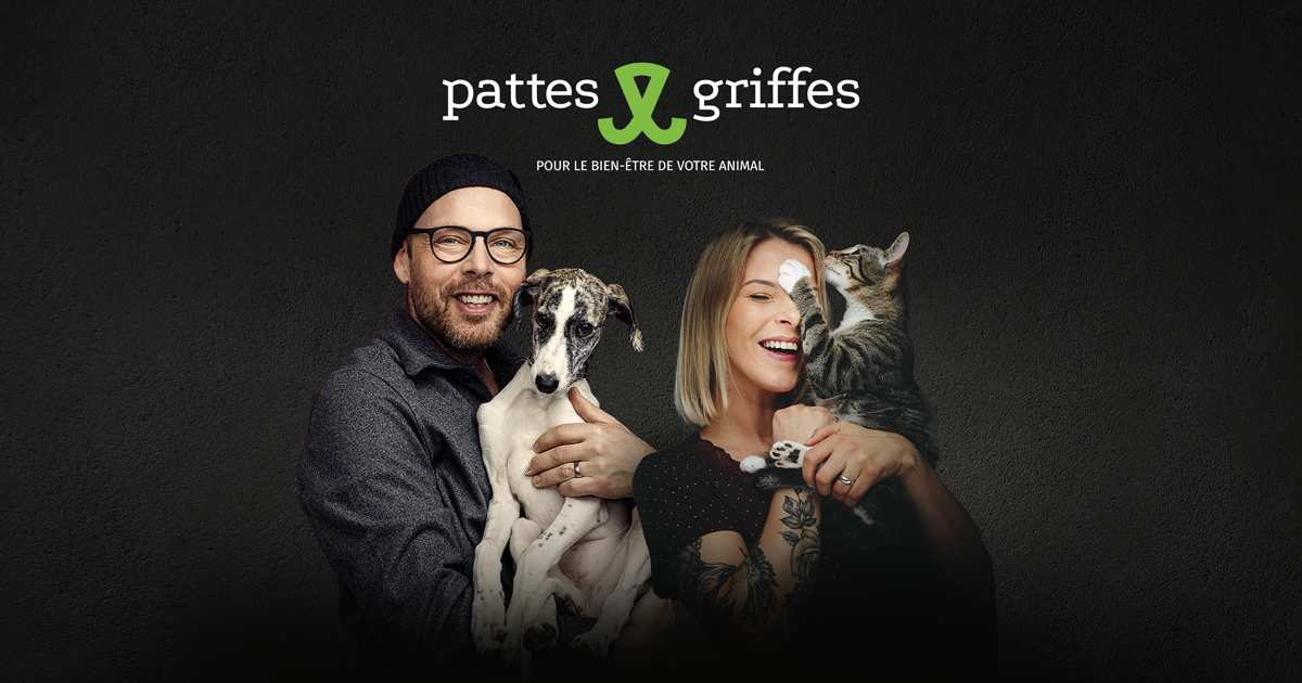 Franchise Pattes et Griffes - Investir dans le bien-être animalier